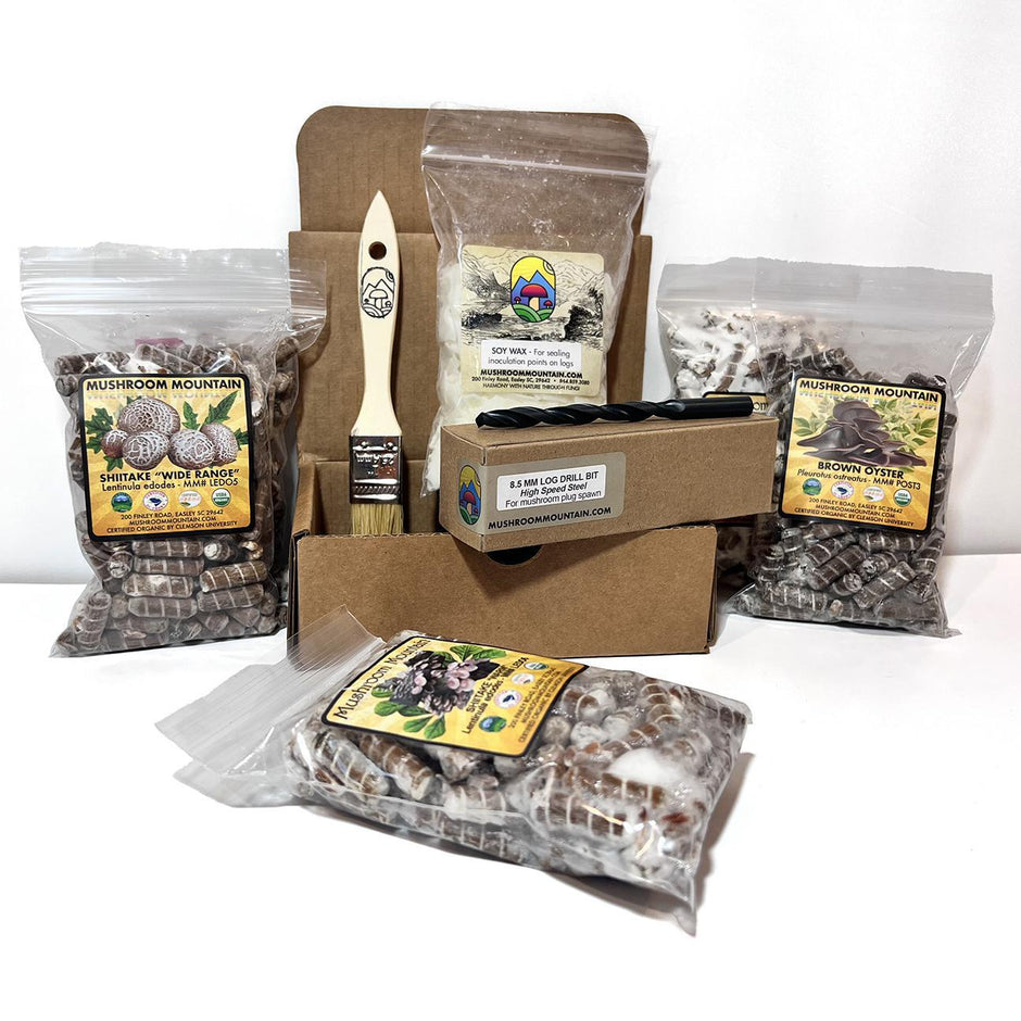 Mushroom Plug Spawn for Log Cultivation | Easy Beginner-Friendly Spawn ...