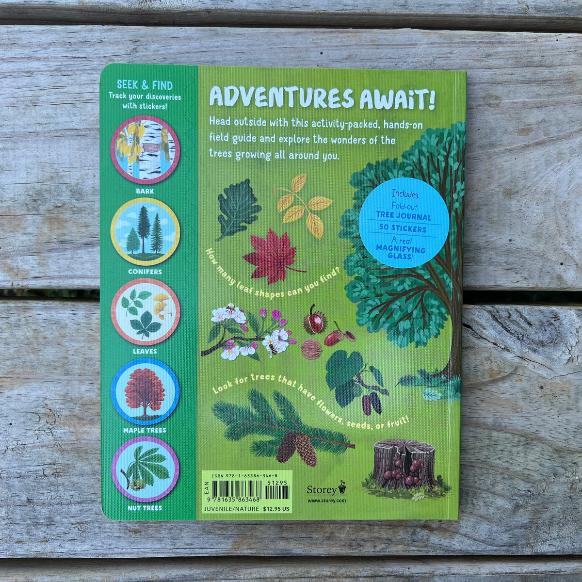 Discovering Trees – Mushroom Mountain