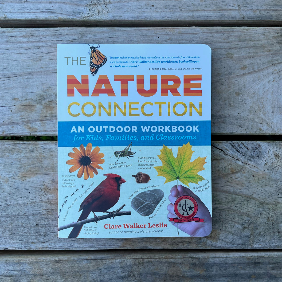 The Nature Connections – Mushroom Mountain