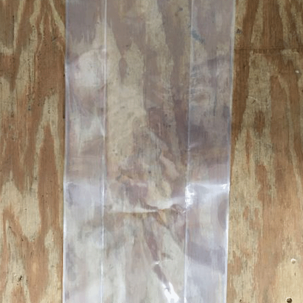 Oyster mushroom fruiting bags - 20 count – Mushroom Mountain