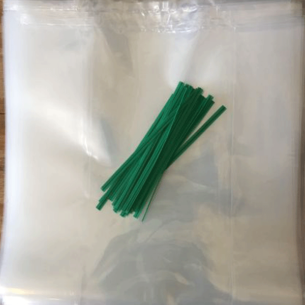 Oyster mushroom fruiting bags - 20 count – Mushroom Mountain